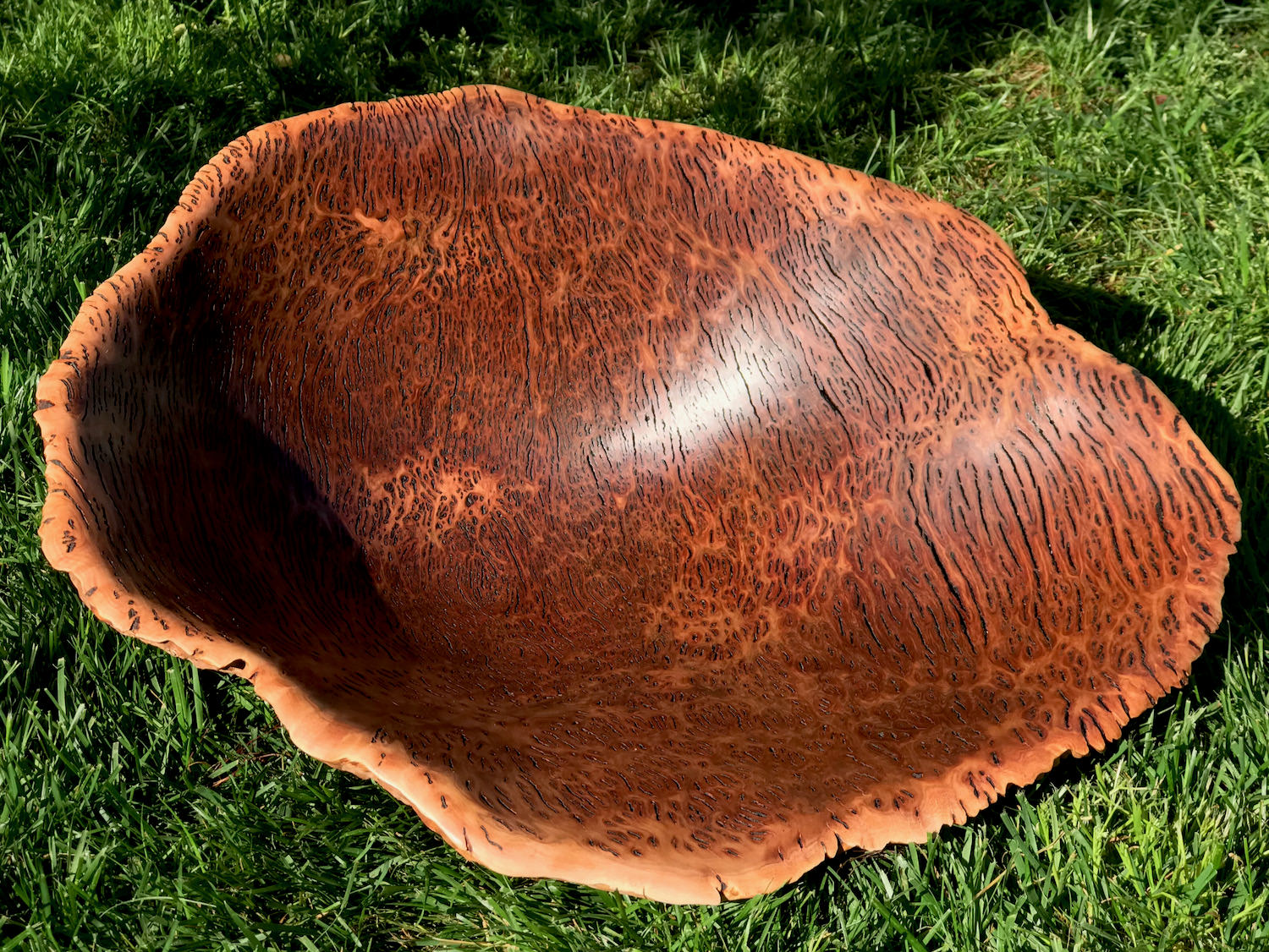 AustralianBurls.com - Burl Cap Carvers Current Inventory