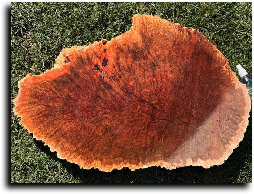 AustralianBurls.com - Small-Medium Burl Slabs (Page 1)