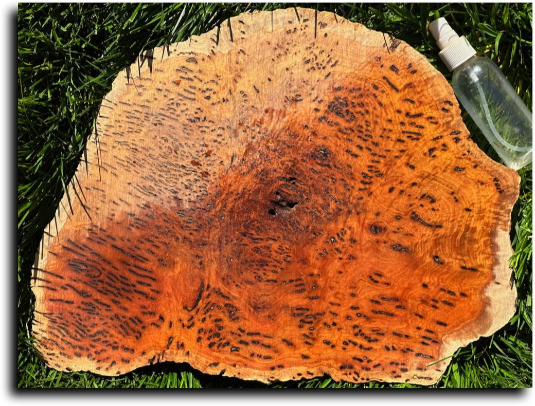 AustralianBurls.com - Small-Medium Burl Slabs (Page 1)