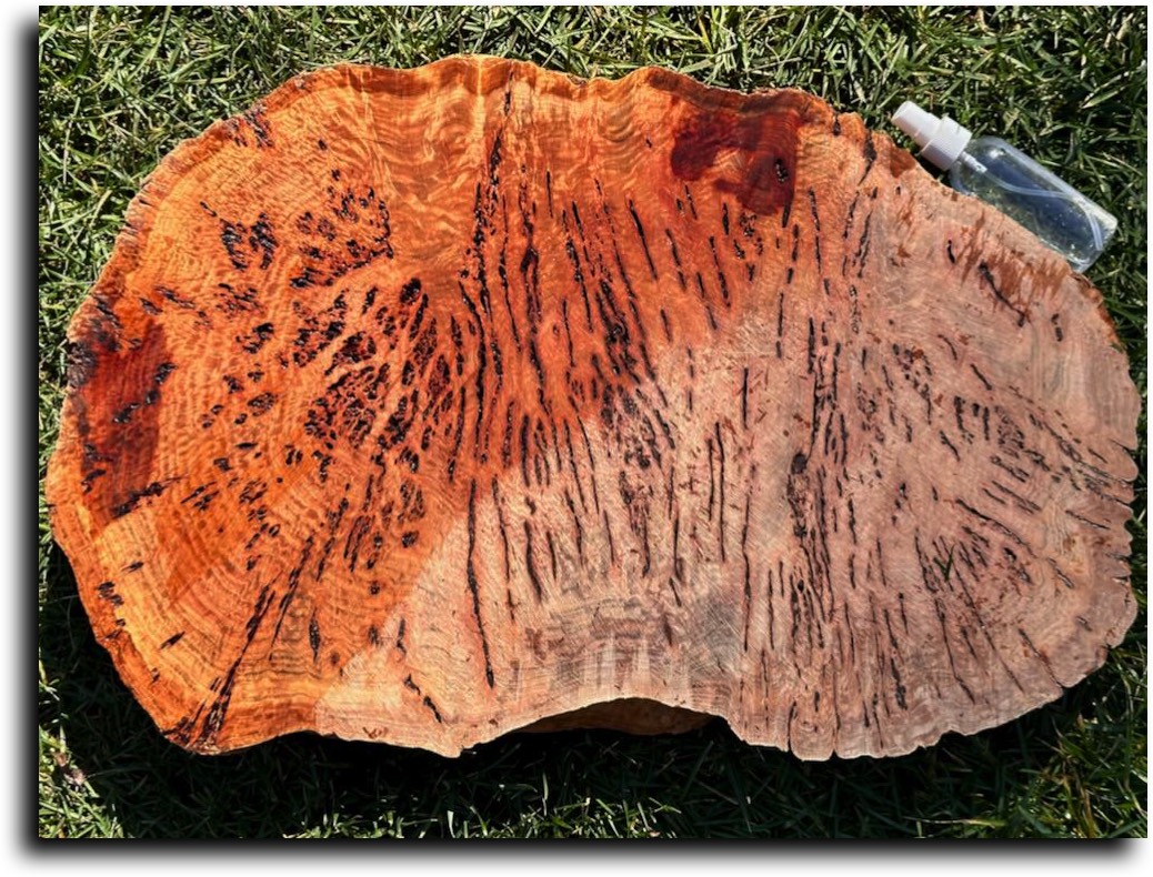 AustralianBurls.com - Small-Medium Burl Slabs (Page 1)