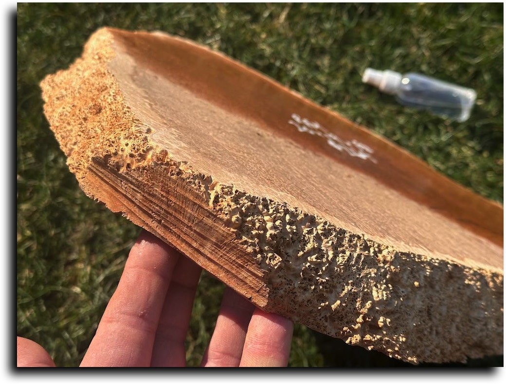 AustralianBurls.com - Small-Medium Burl Slabs (Page 1)
