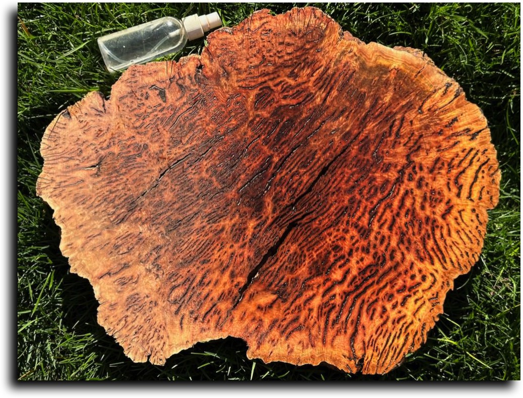 AustralianBurls.com - Small-Medium Burl Slabs (Page 2)