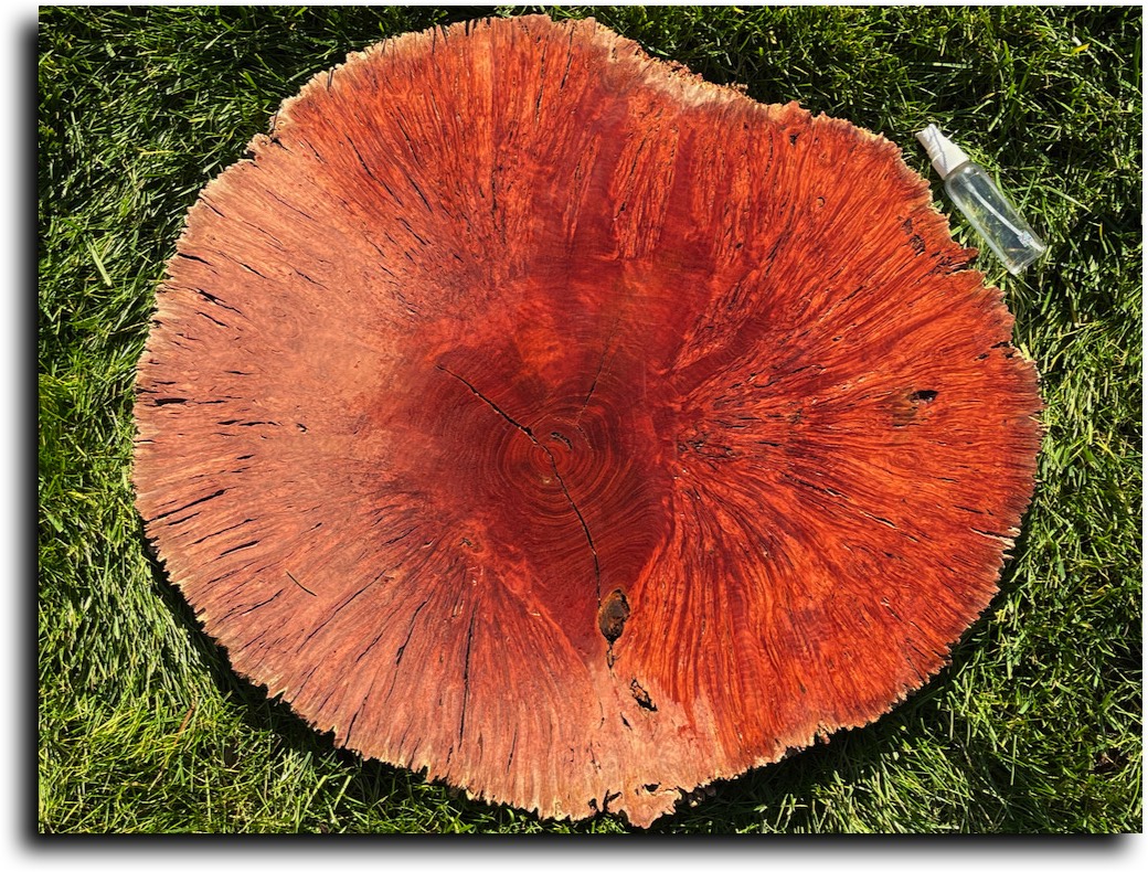AustralianBurls.com - Small-Medium Burl Slabs (Page 2)
