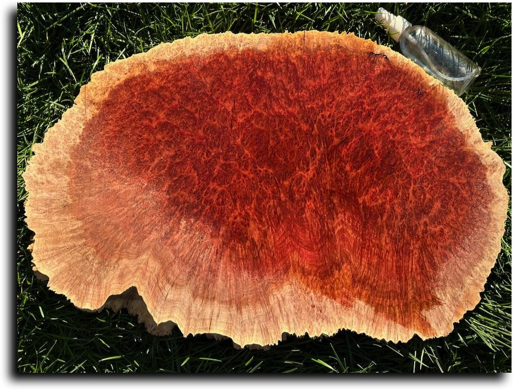 AustralianBurls.com - Small-Medium Burl Slabs (Page 2)