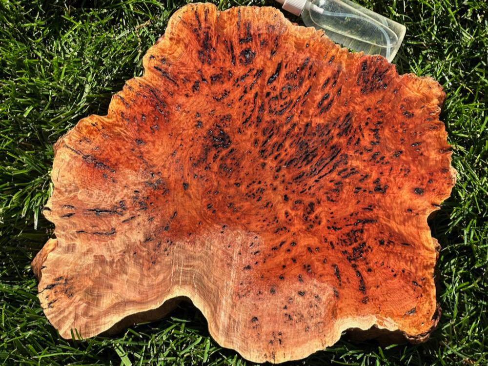 AustralianBurls.com - Small-Medium Burl Slabs (Page 2)