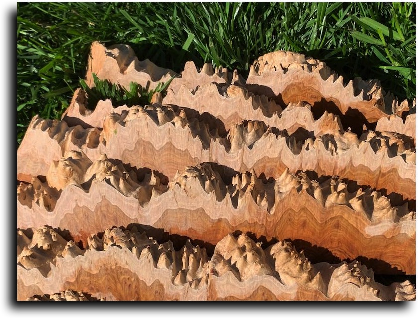 AustralianBurls.com - Strip Cut Burls