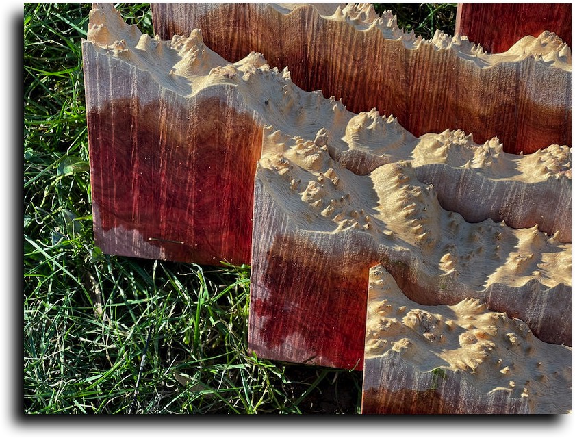 AustralianBurls.com - Strip Cut Burls